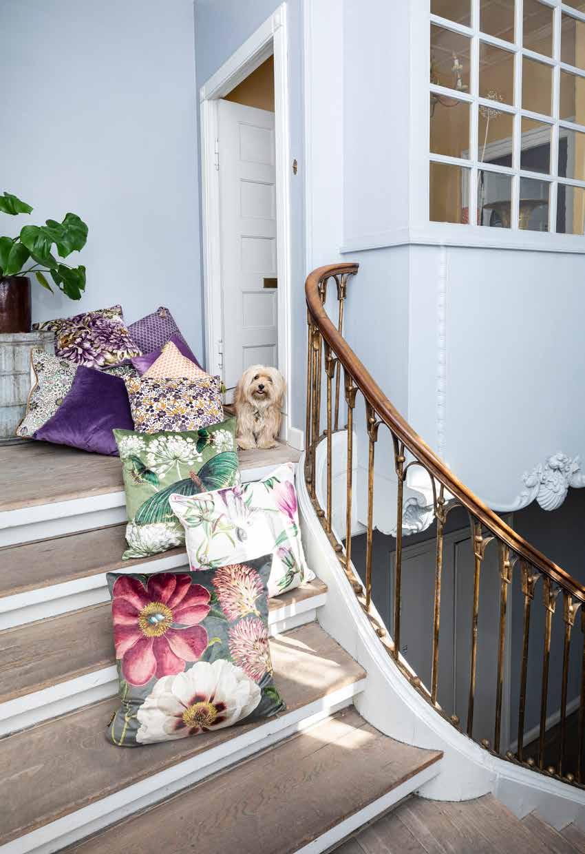 CATALOGUE AW23 - VanillaFly by VanillaFly - Issuu