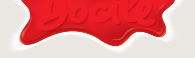 Catálogo Docile - Distribuição by Docile Alimentos Ltda - Issuu