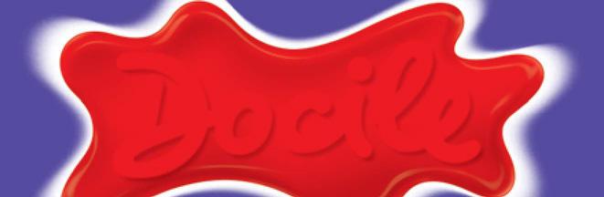 Catálogo Docile - Distribuição by Docile Alimentos Ltda - Issuu