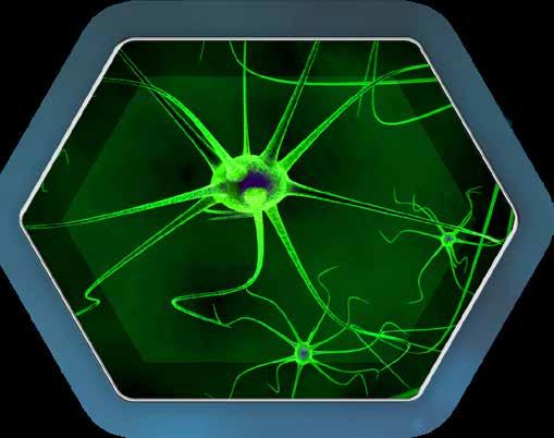 UTMB Graduate Program in Experimental Pathology by UTMB Health - Issuu