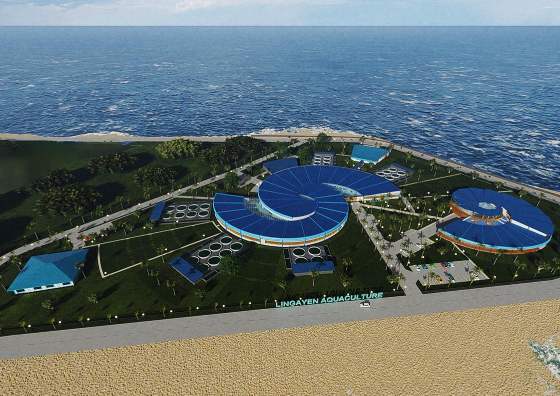 Acuna - Portfolio by Trina Acuna - Issuu