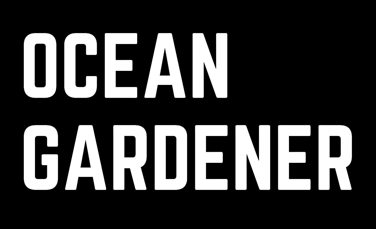 Intro and Application Guide by Indo Ocean Project - Issuu