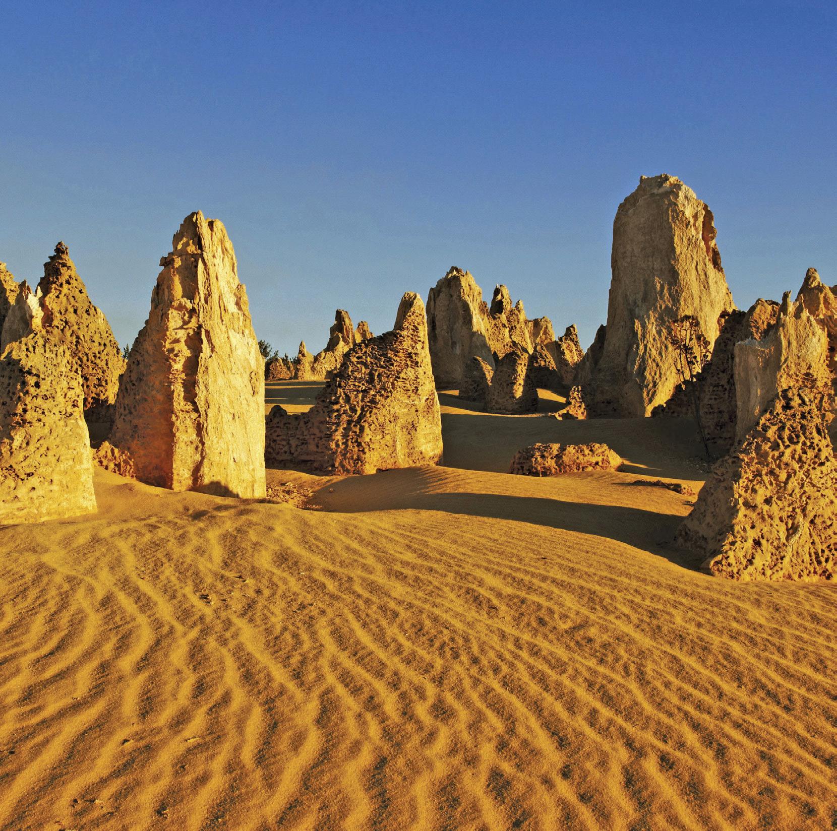 Scenic Australia 2024-2025 AUD by scenic - Issuu