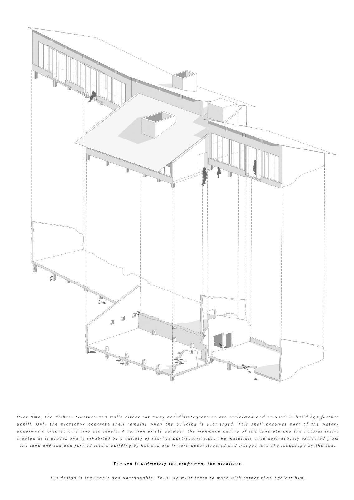 2023 CCAE Summer Undergraduate Catalogue: Year 4 by Cork Centre for ...