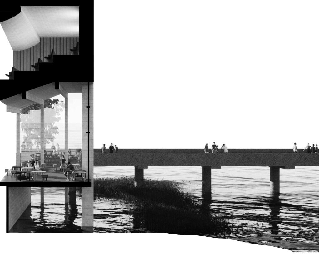 2023 CCAE Summer Undergraduate Catalogue: Year 4 by Cork Centre for ...