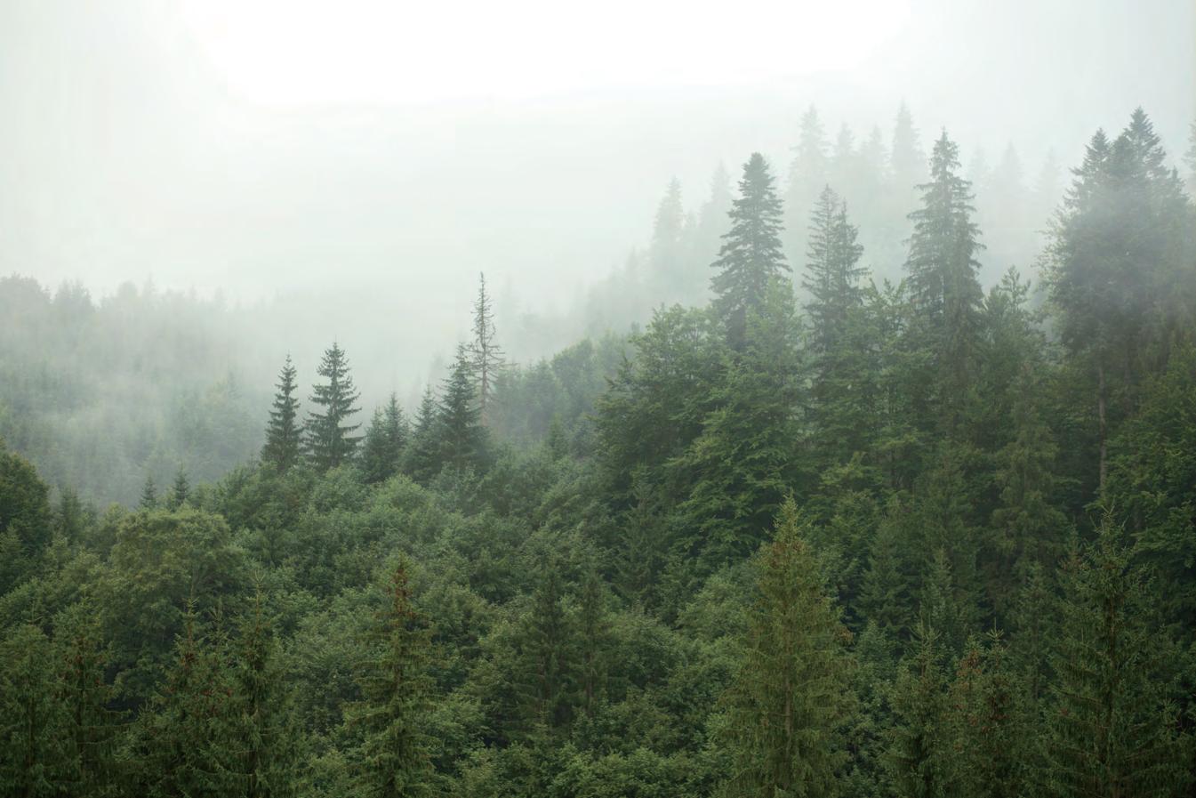 許元欣作品集2020-2023 by 許元欣 - Issuu