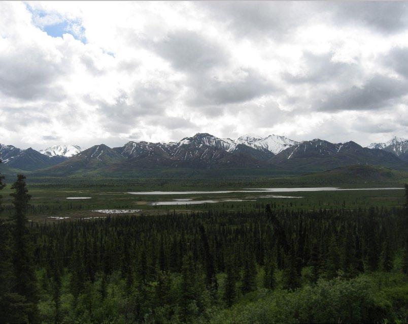 Schultz Farms | Fay Ranches by Fay Ranches - Issuu