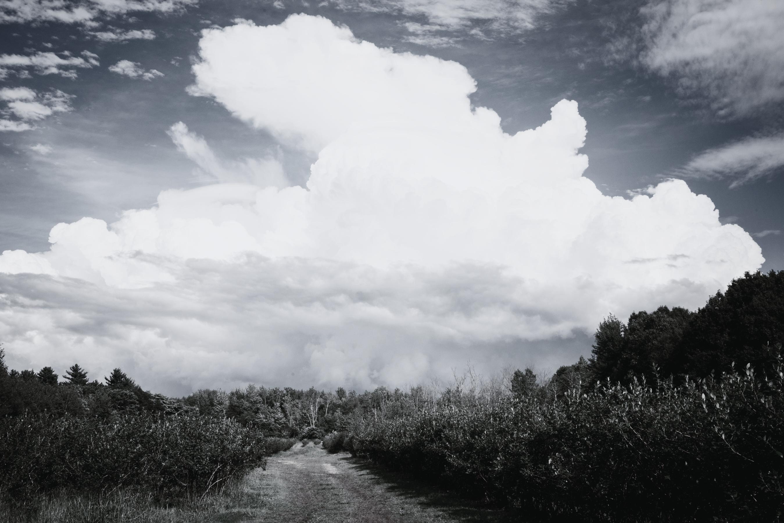 Elementos compositivos de la fotografía by FLunaQuintana - Issuu