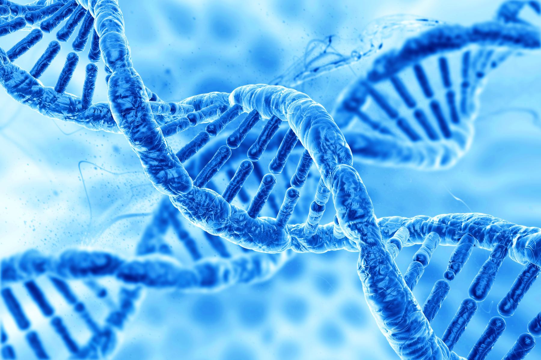 A Level Biology By The Portsmouth Grammar School Issuu