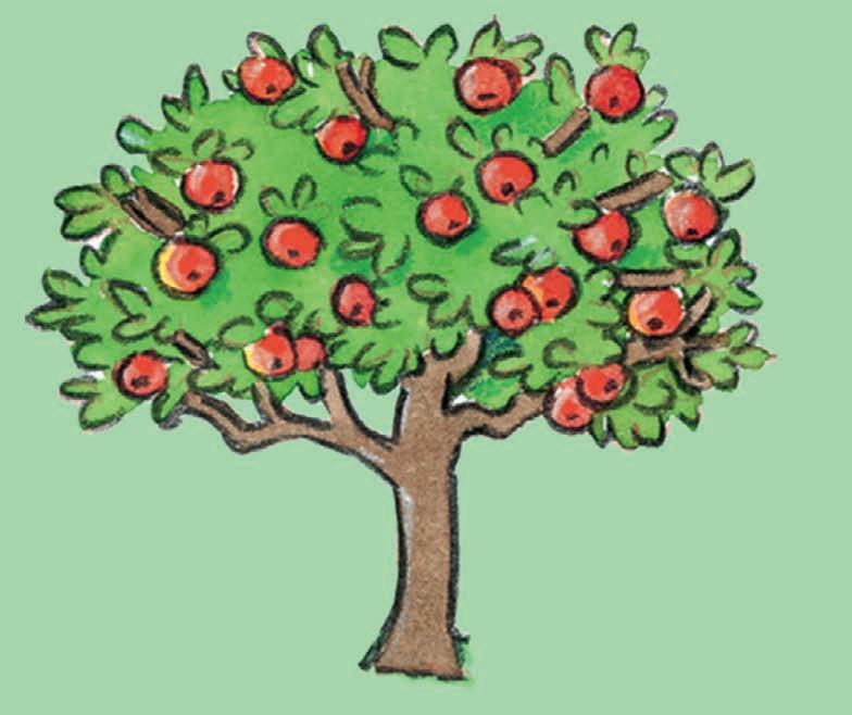 L'Imagerie des tout-petits - La Nature by Fleurus Editions - Issuu