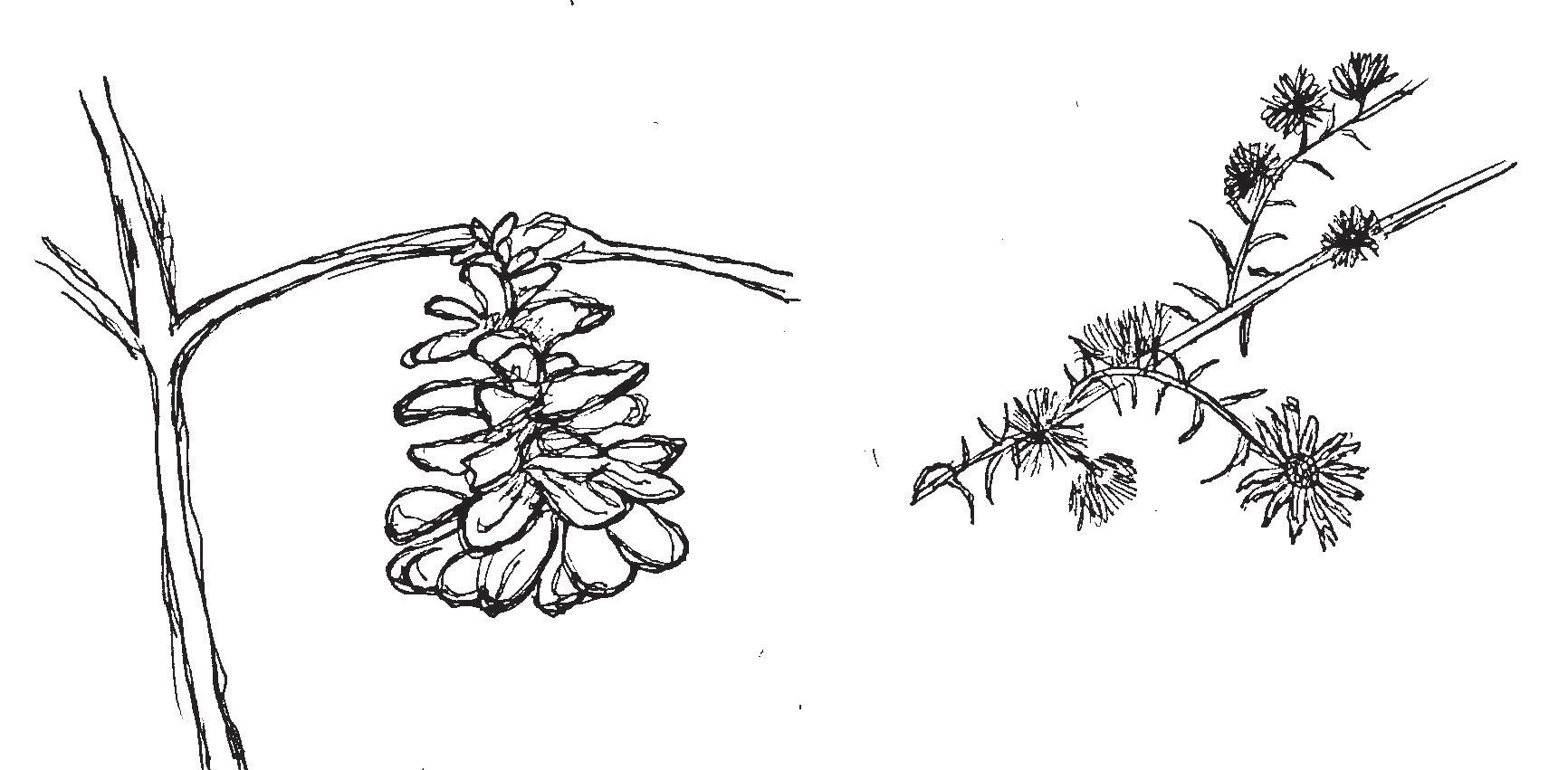 Architecture Portfolio - Yuridia Alviter-Rivera by yuridialviterivera ...