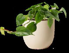 Architectural Undergraduate Portfolio | Rushil Jain | WCFA by Rushil ...