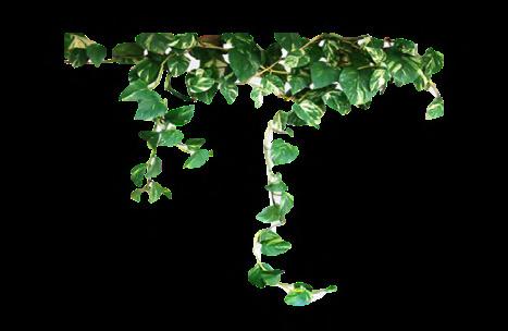 Architectural Undergraduate Portfolio | Rushil Jain | WCFA by Rushil ...