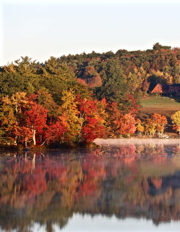 Cabin on Long Pond by New Hampshire's Finest Real Estates - Issuu