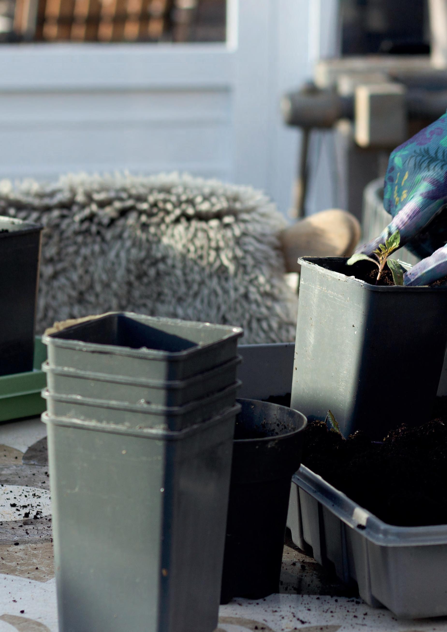 Weibulls Produktkatalog 2024 DK by Econova - Issuu