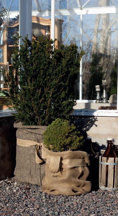 Weibulls Produktkatalog 2024 DK by Evergreen Garden Care - Issuu