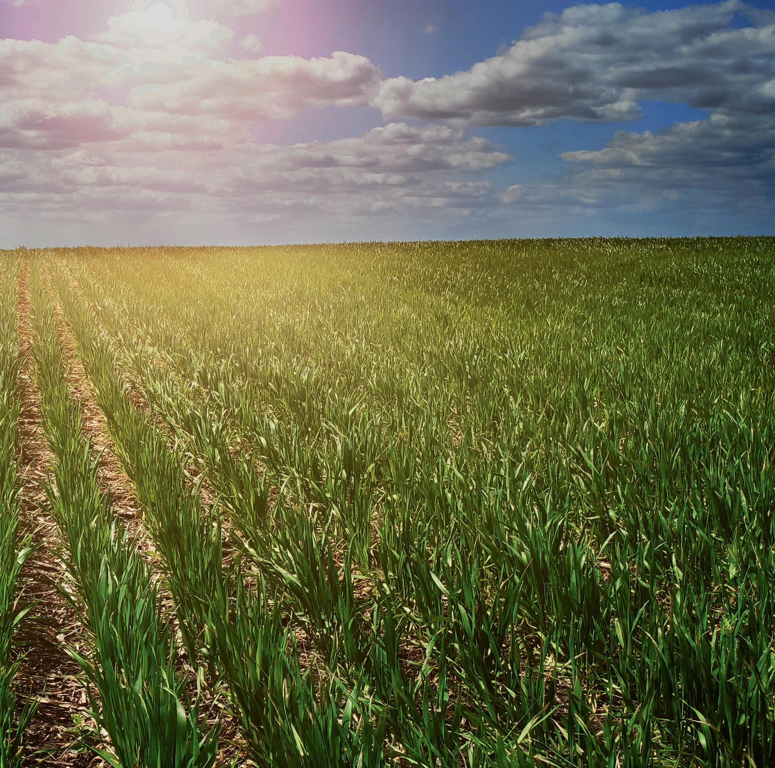 AU | Croplands Compact Spring Catalogue 2023 by Croplands Equipment - Issuu