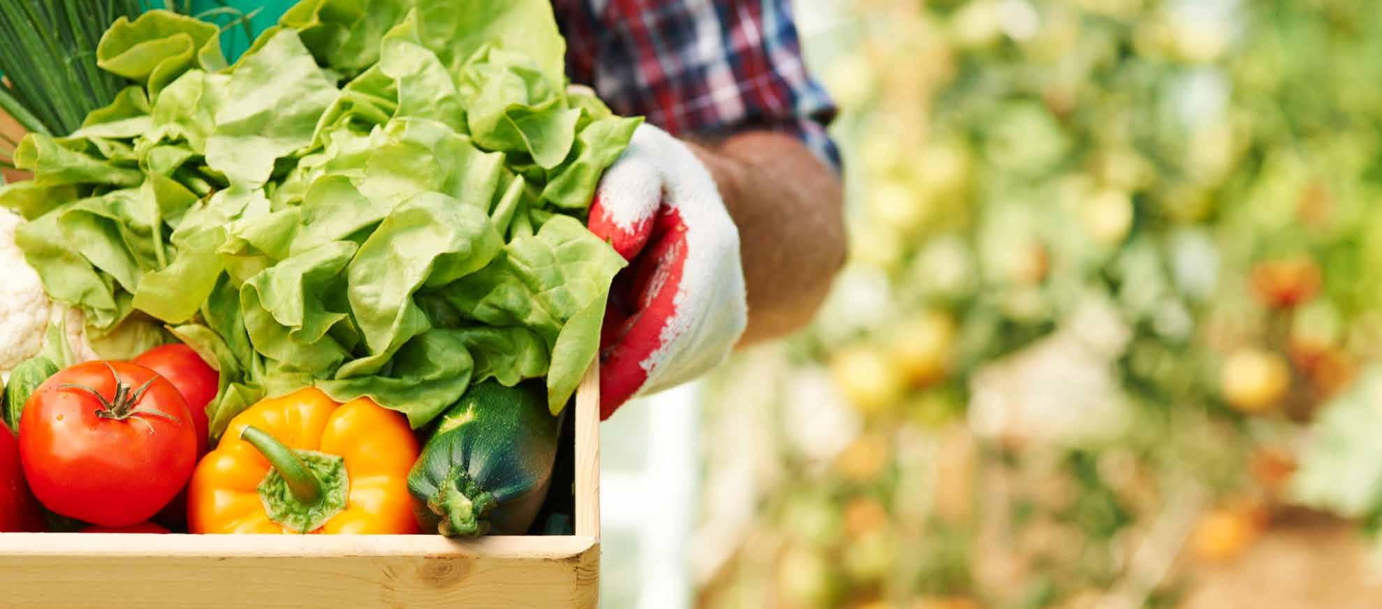 Maizer agriculture Catalogue by Maizer France - Issuu