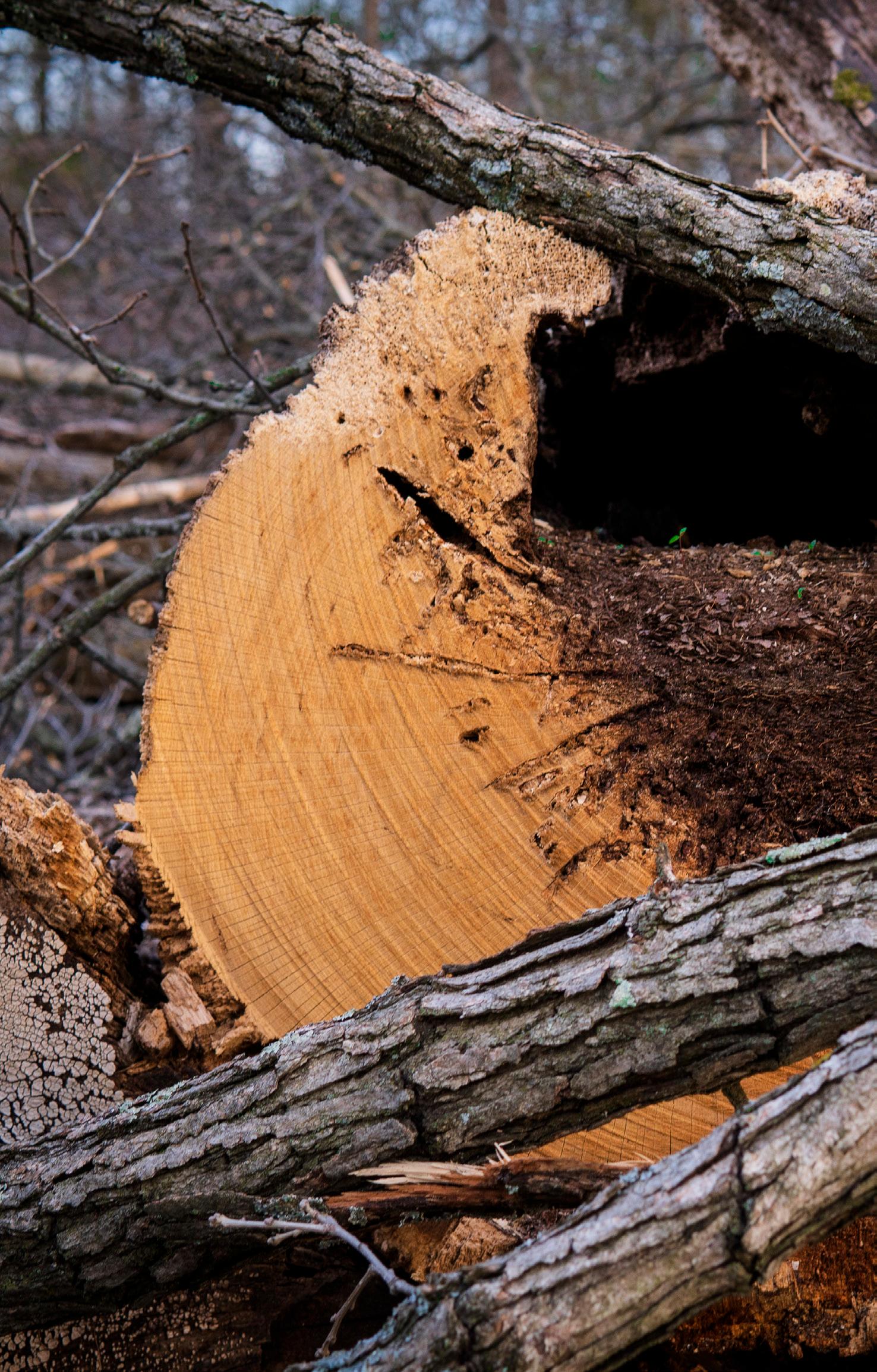 Architecture Portfolio 2023 by Megan Rease - Issuu