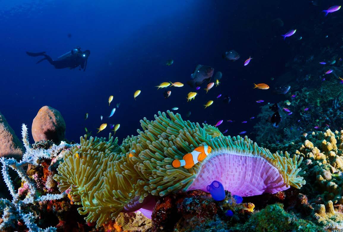 CORDAP Progress Report 2023 by CORDAP_ - Issuu