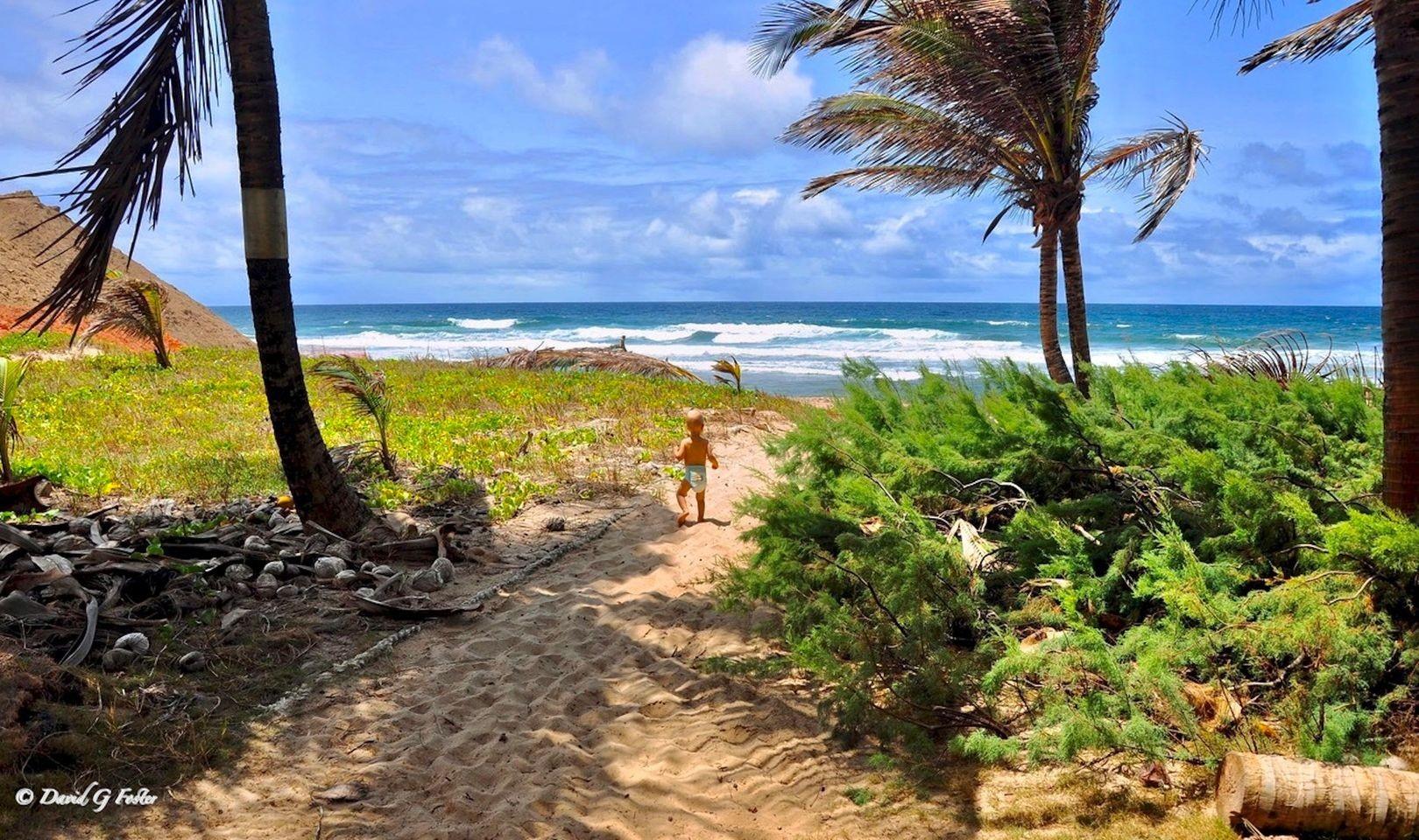 VISUAL ARTS BARBADOS SEPTEMBER 2023 by Corrie Scott - Issuu