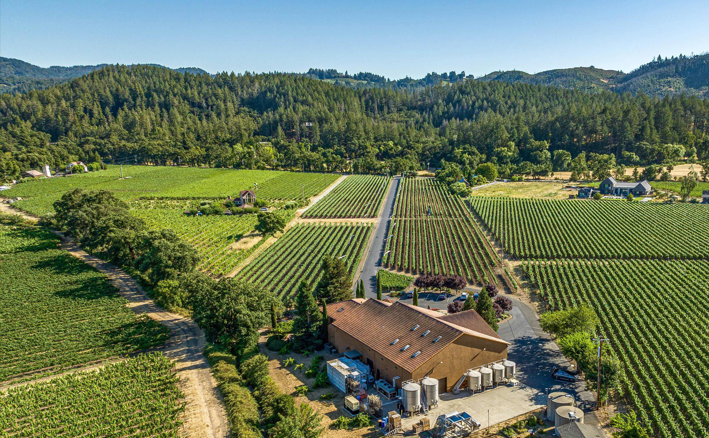 Bennett Lane Winery - Offering by Yvonne Rich Exclusive Estates - Issuu