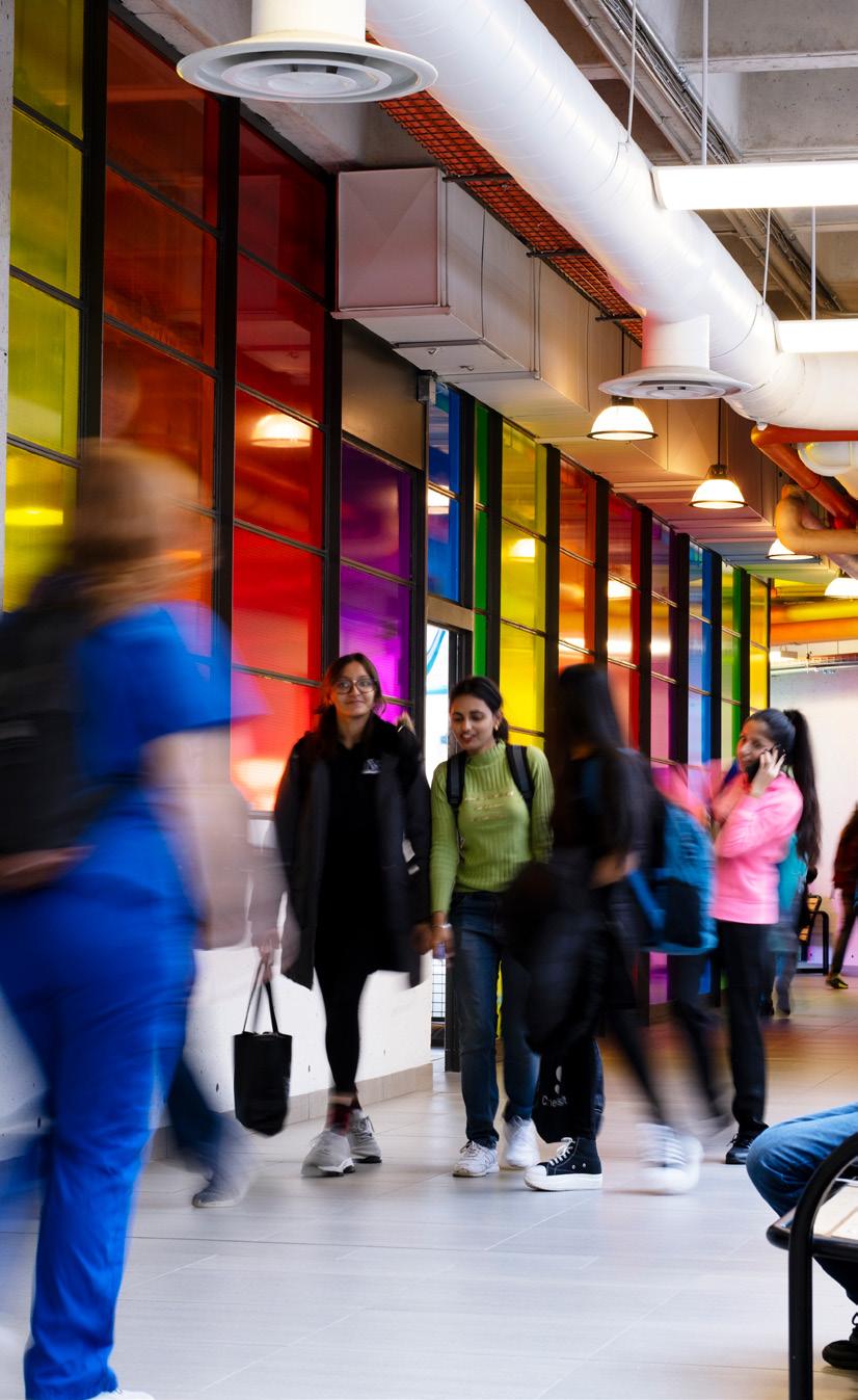 Sheridan College International Viewbook 2024-2025 by Sheridan College - Issuu