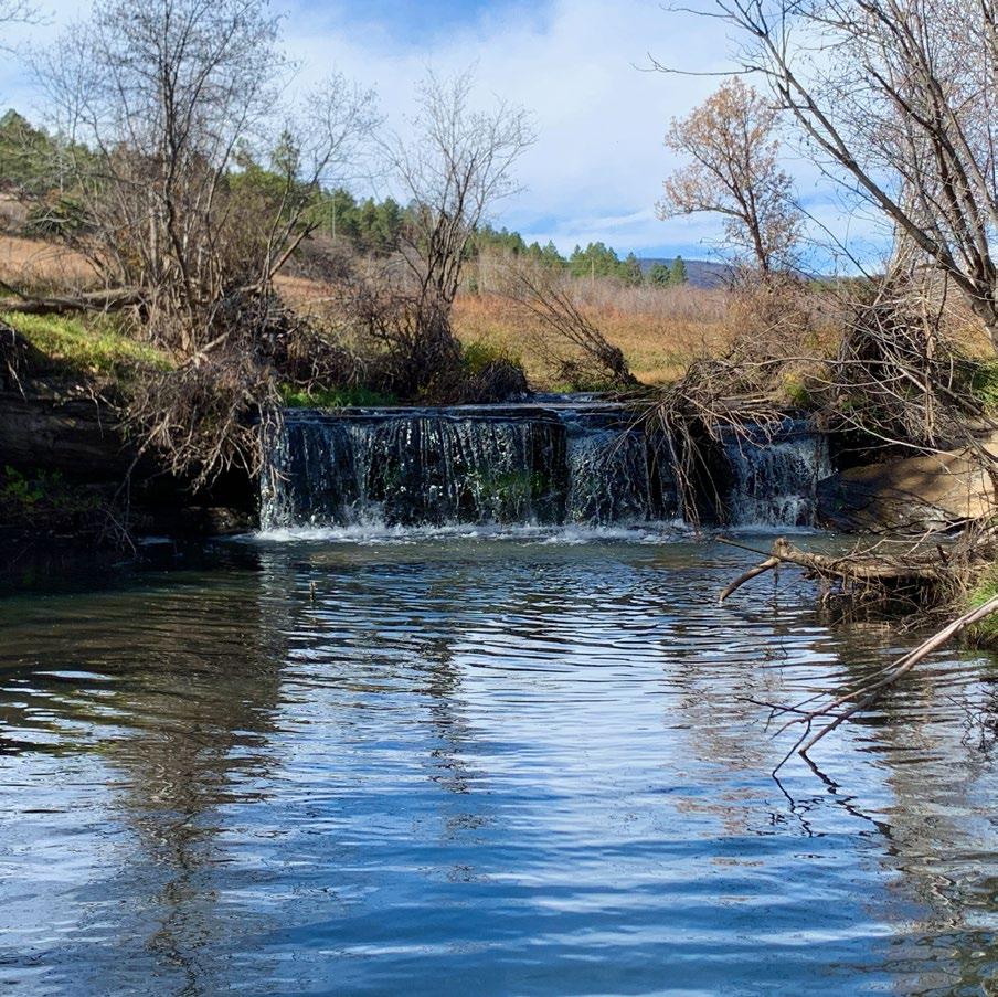 OFF THE MARKET: Rancho San Ignacio | Fay Ranches by Fay Ranches - Issuu