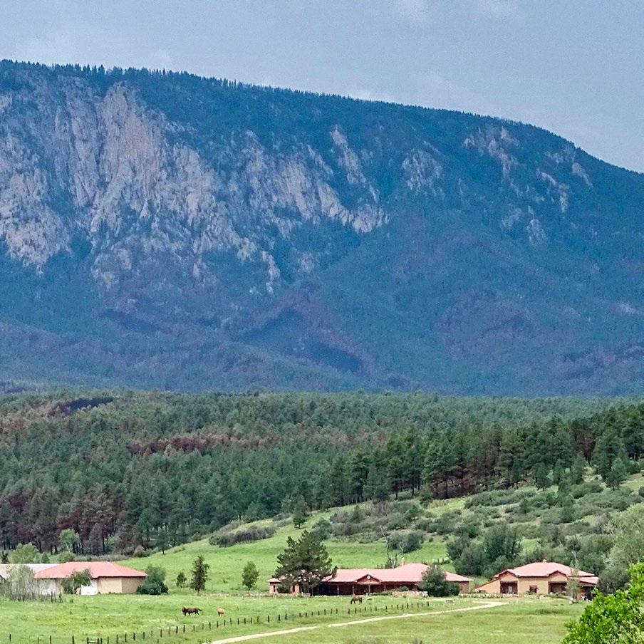 OFF THE MARKET: Rancho San Ignacio | Fay Ranches by Fay Ranches - Issuu