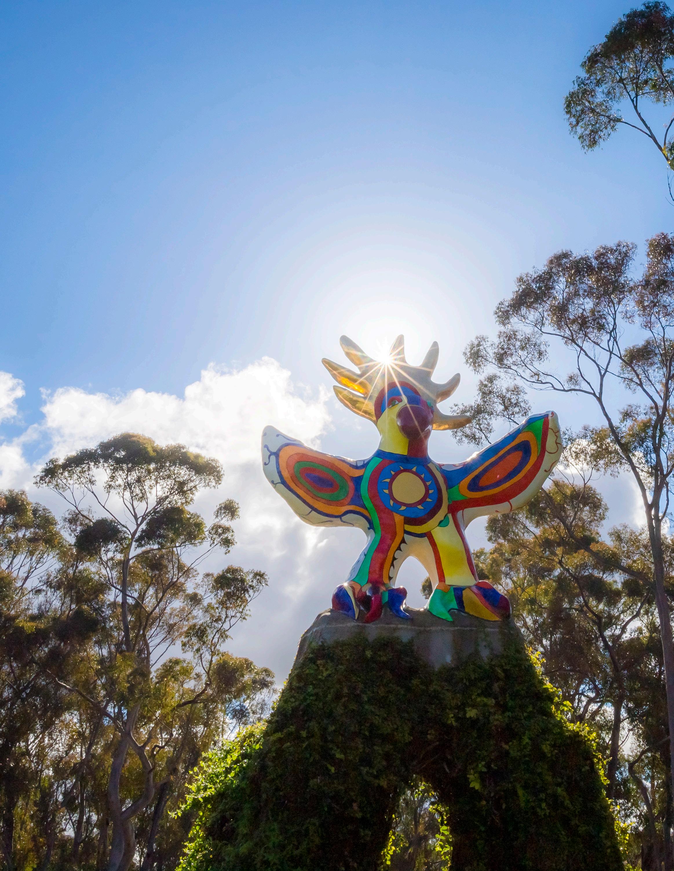 UC San Diego Triton Admission Guide by UC San Diego Admissions - Issuu
