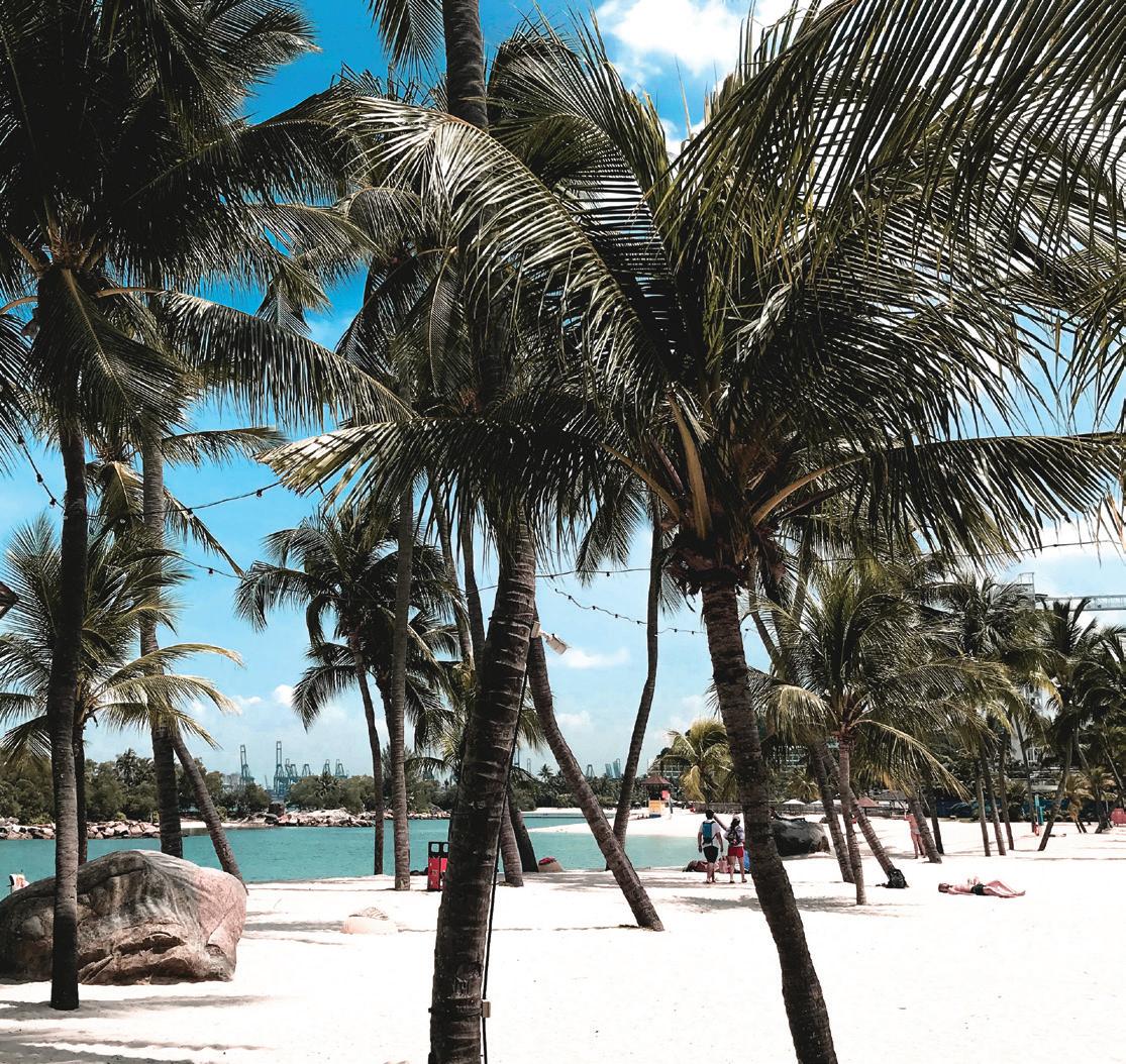 ANZA Magazine September/October 2023 by ANZA Singapore - Issuu