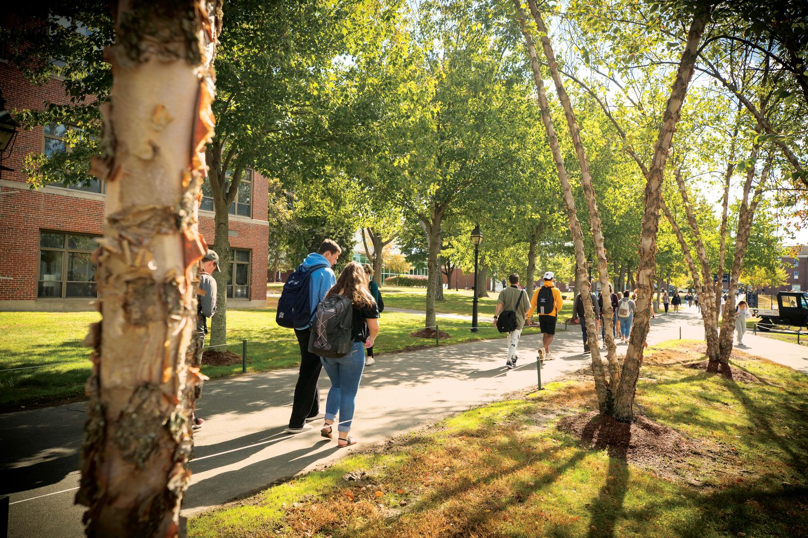 Graduate Ambassador Position Overview 23 24 By Merrimack College Issuu