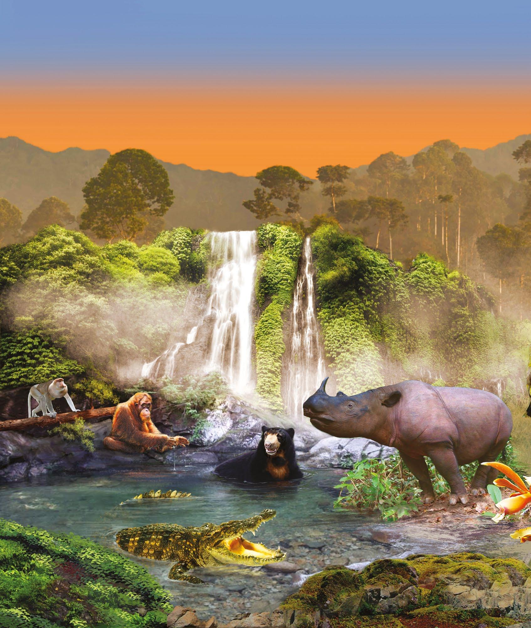 Gyvūnų karalystė. Su 50 nepaprastų garsų! by knygos.lt - Issuu