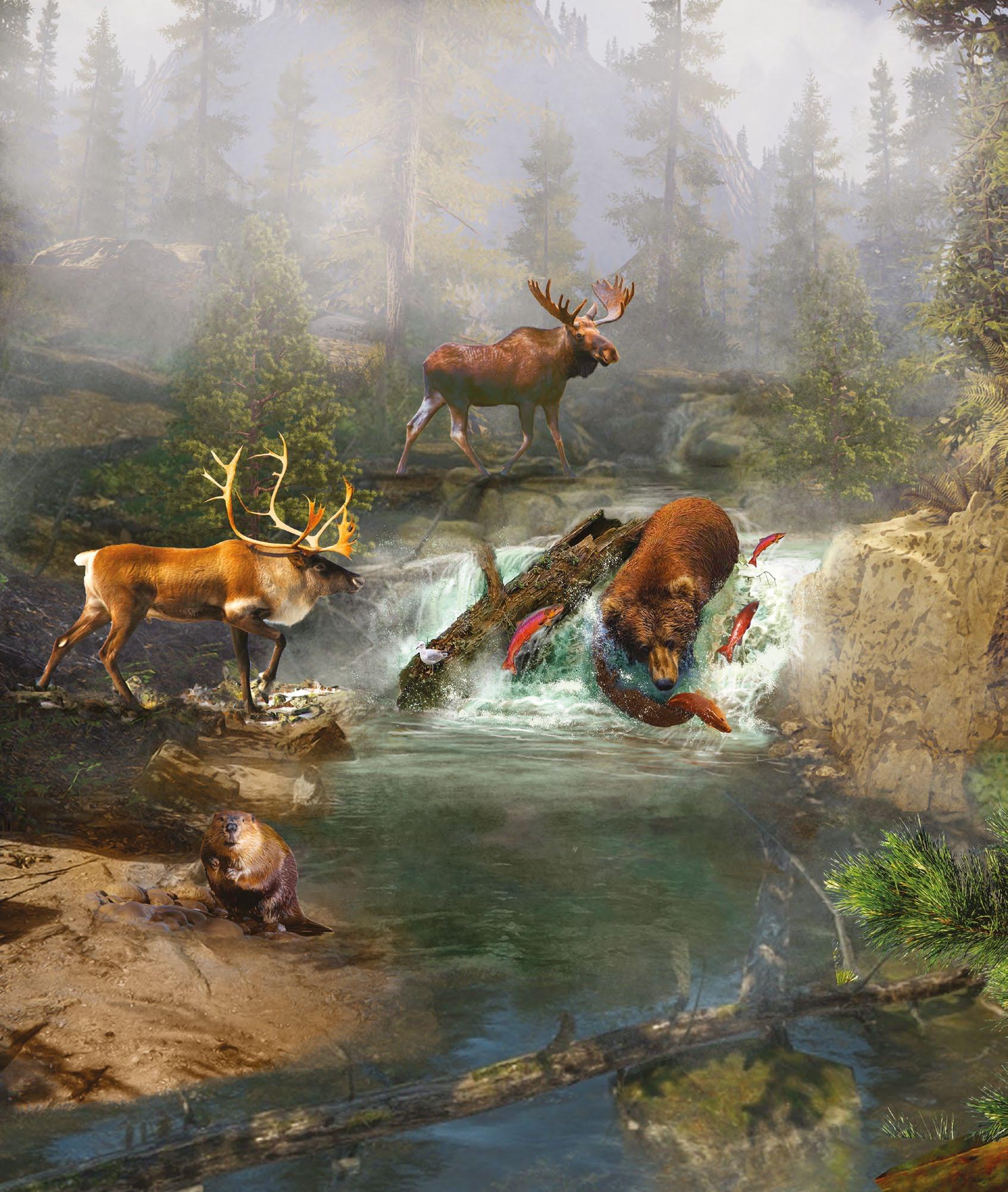 Gyvūnų karalystė. Su 50 nepaprastų garsų! by knygos.lt - Issuu