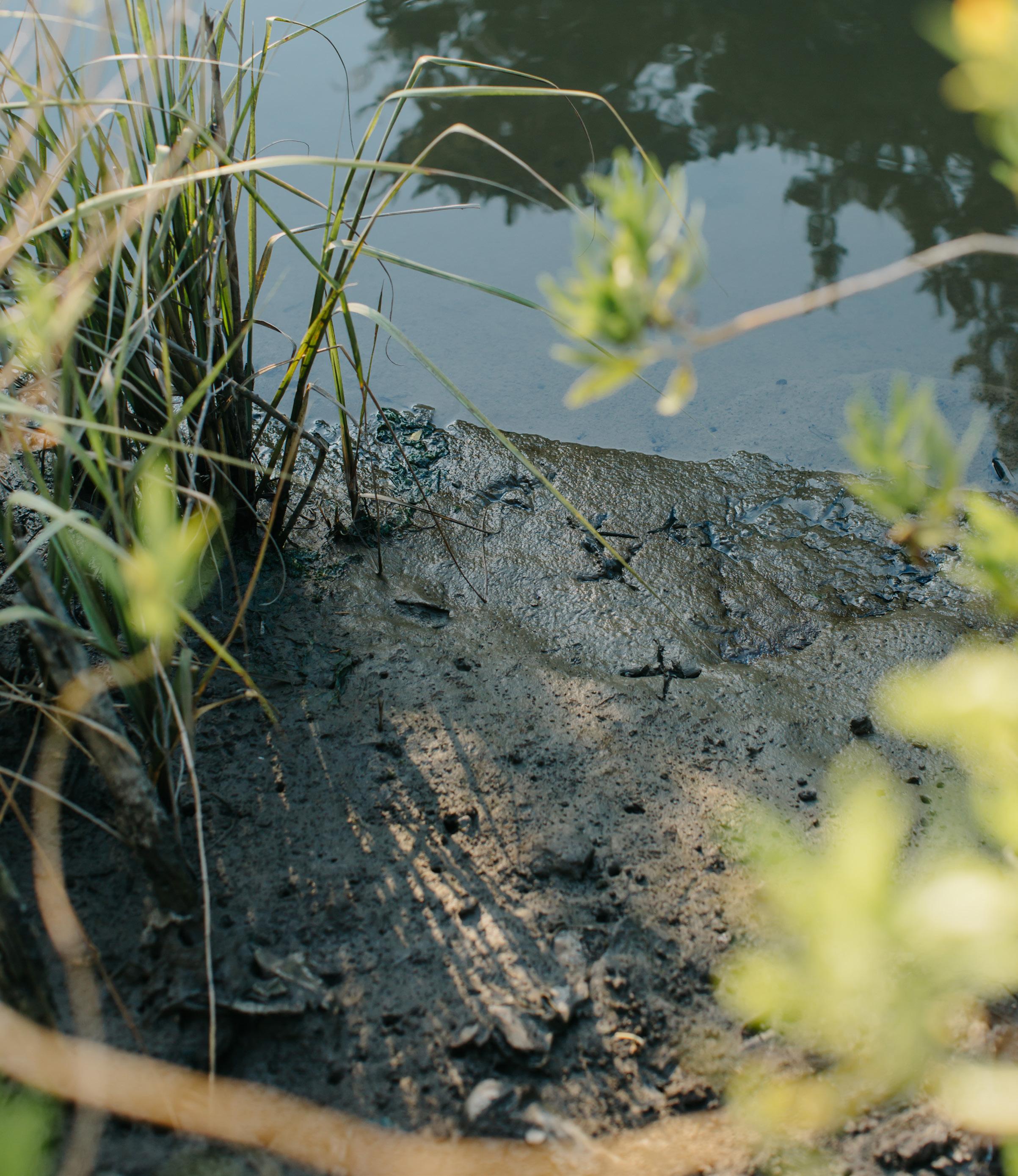 Gadsden Creek Revitalization Project by Robinson_Design_Engineers - Issuu