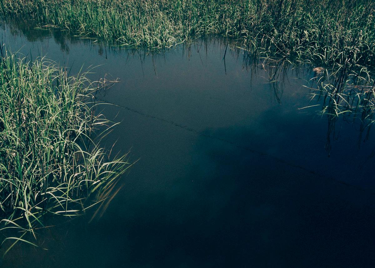 Gadsden Creek Revitalization Project by Robinson_Design_Engineers - Issuu