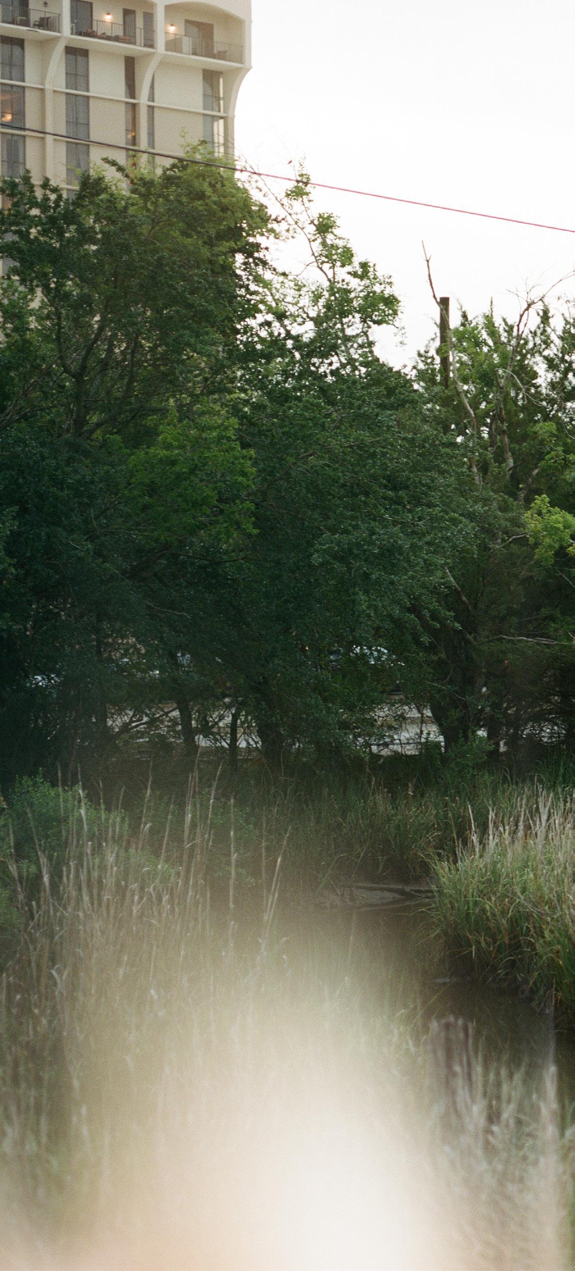 Gadsden Creek Revitalization Project by Robinson_Design_Engineers - Issuu