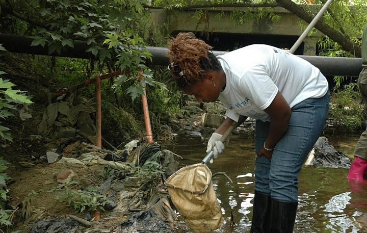 Gadsden Creek Revitalization Project by Robinson_Design_Engineers - Issuu