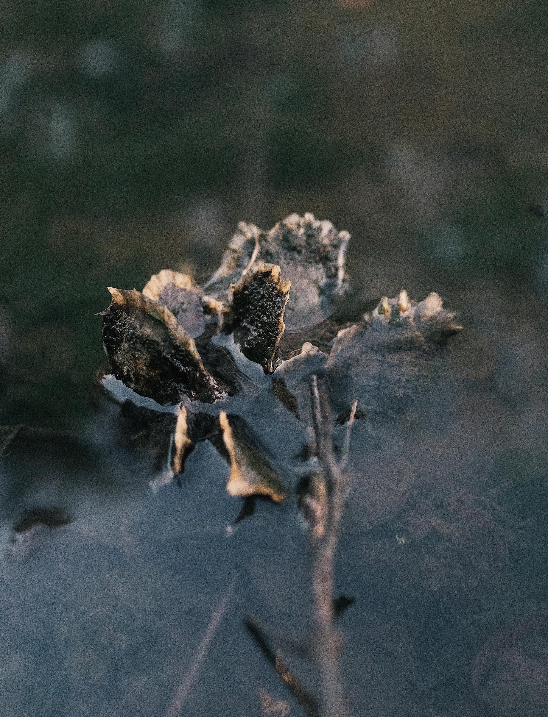 Gadsden Creek Revitalization Project by Robinson_Design_Engineers - Issuu