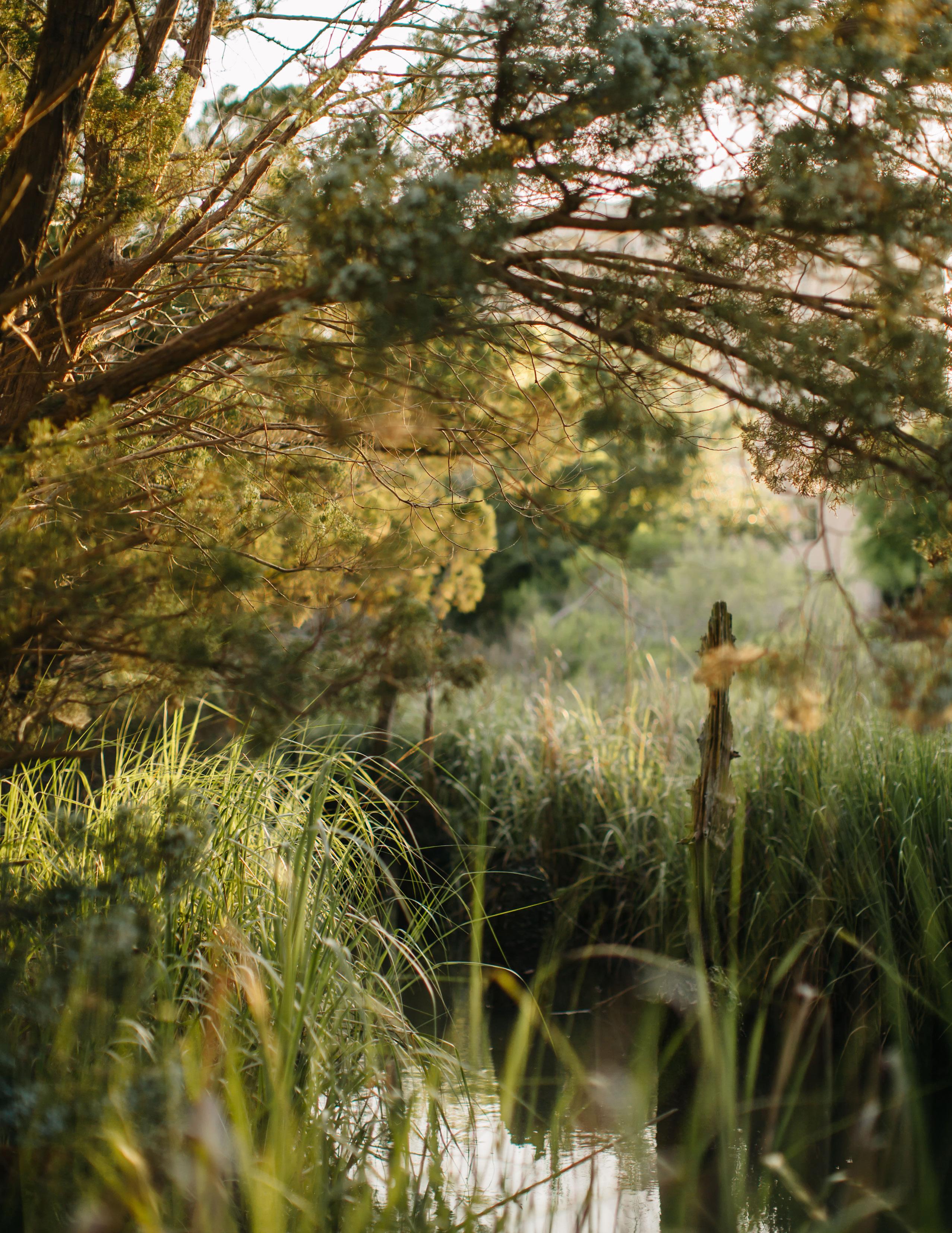 Gadsden Creek Revitalization Project by Robinson_Design_Engineers - Issuu