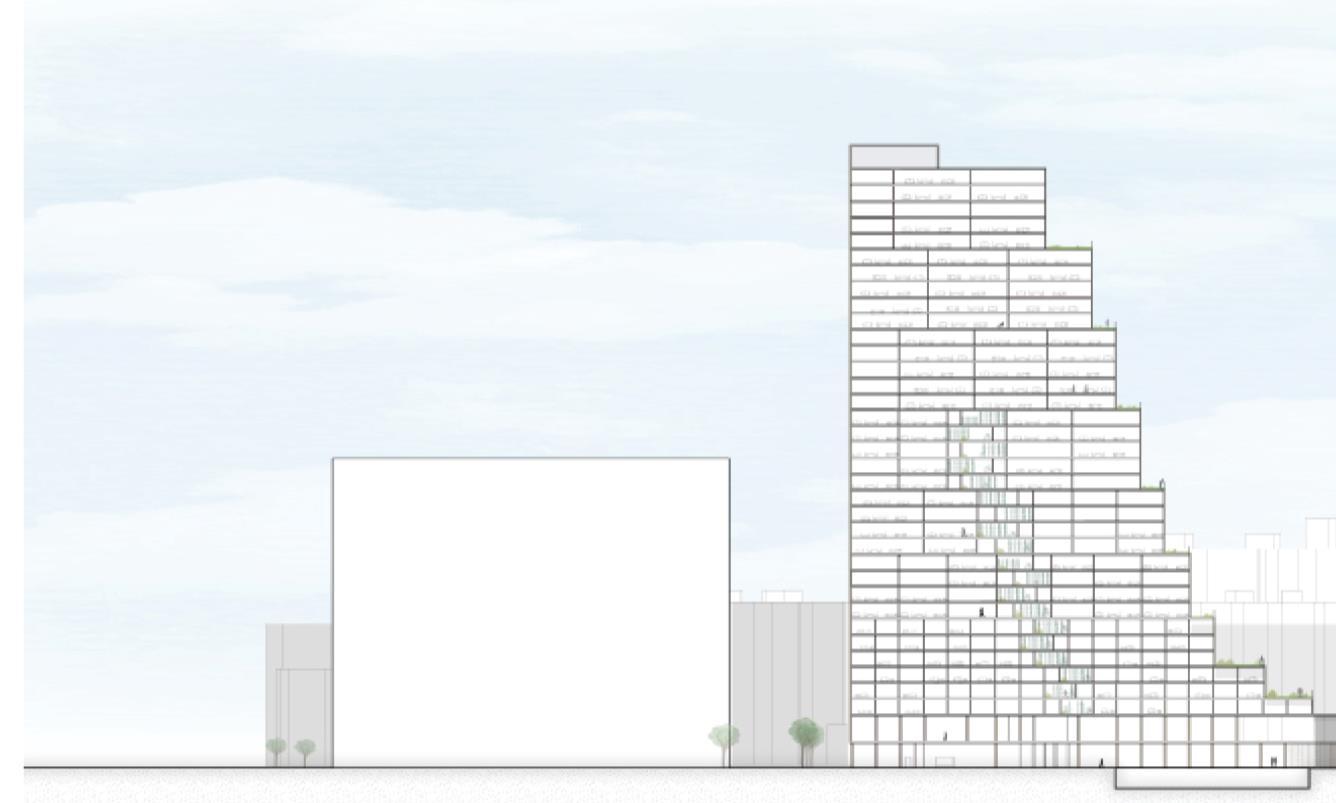 Portfolio - Shaily S. by Shaily Swadia - Issuu