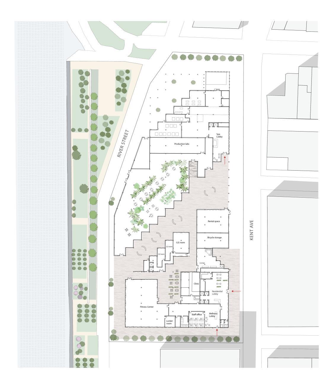 Portfolio - Shaily S. by Shaily Swadia - Issuu