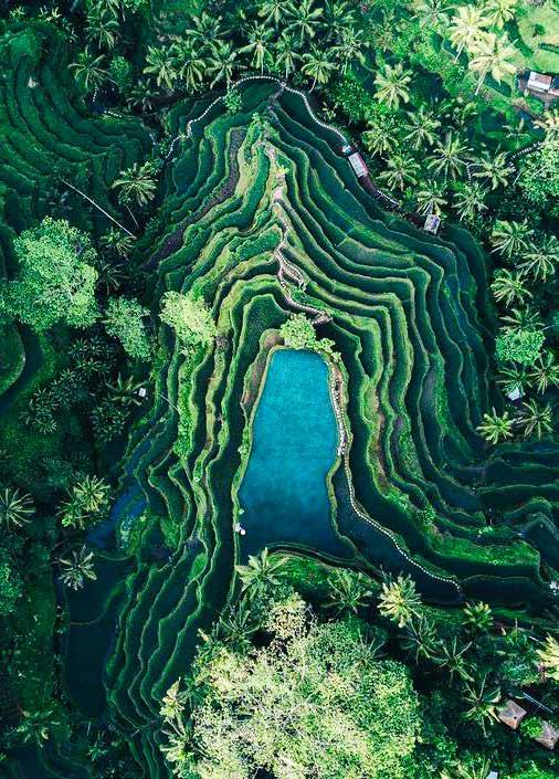 BAZAR BIZAR - CATALOGUE by bazarbizar - Issuu