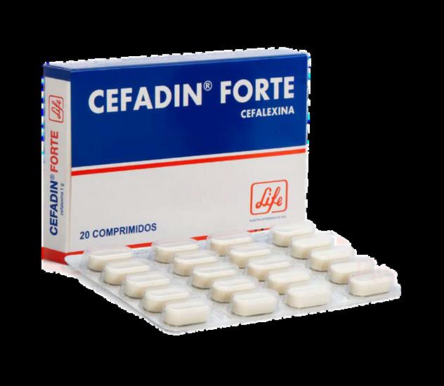 Revista de los microorganismos by Guachamin Ana - Issuu