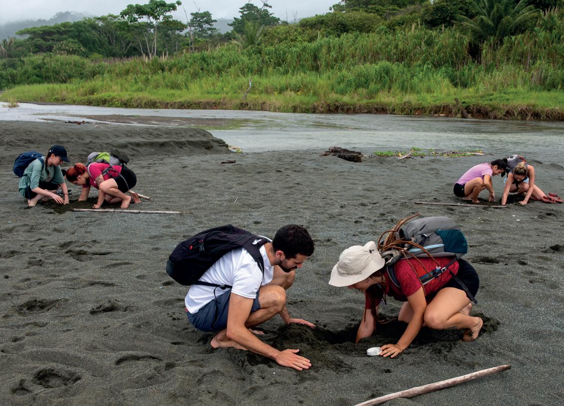 Fichas Ciencias - Grado en Ciencias Ambientales by universidaddenavarra ...