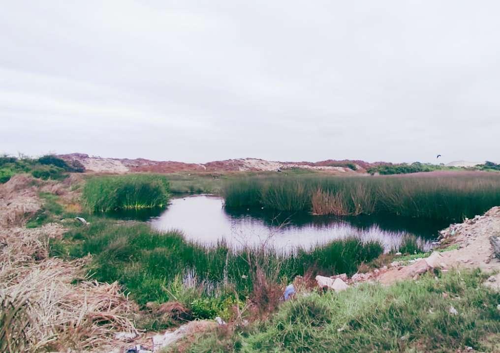 Master plan humedales by Ivette Cueva - Issuu