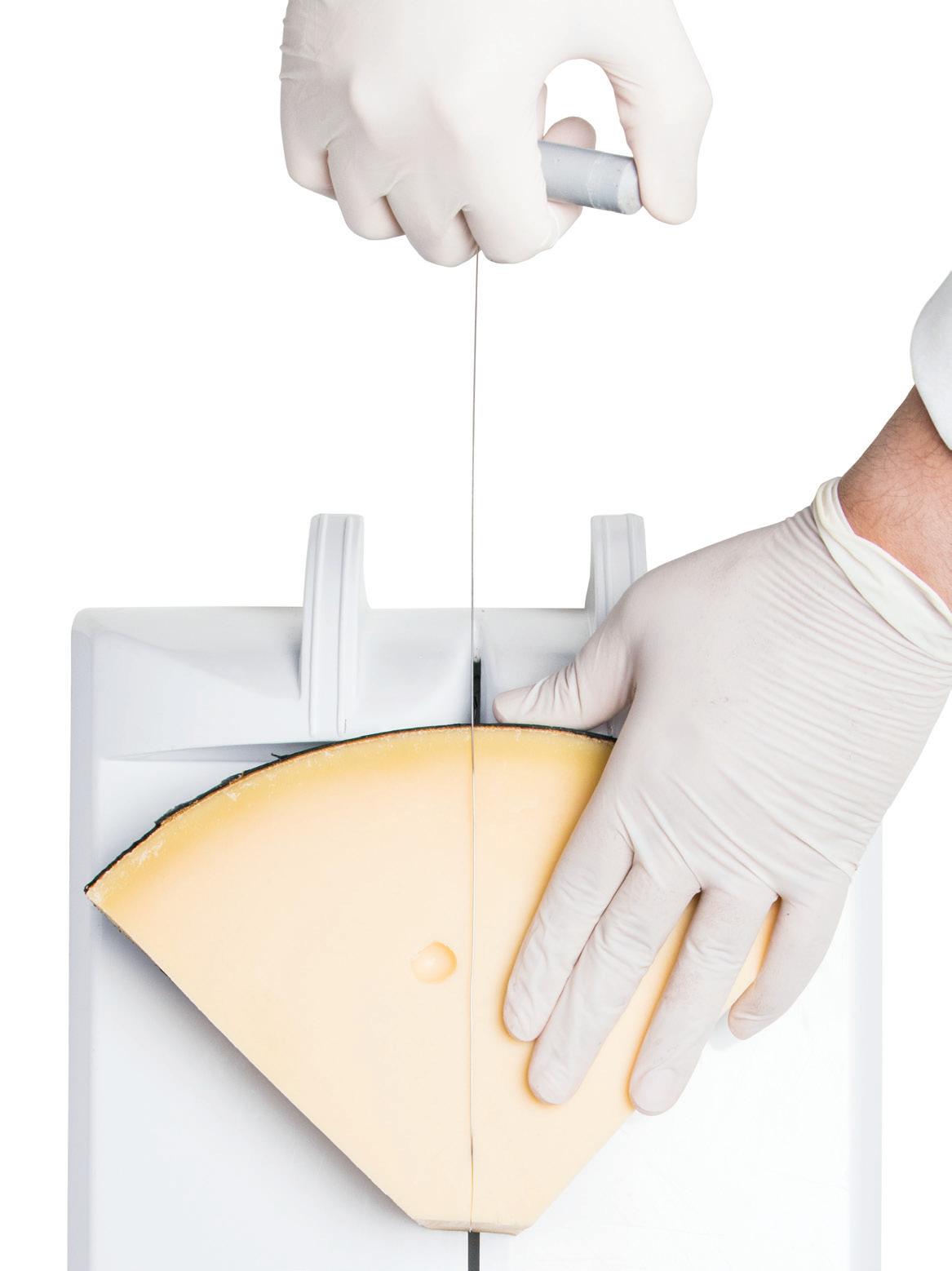 GFI Cutting Guide by Gourmet Foods International - Issuu