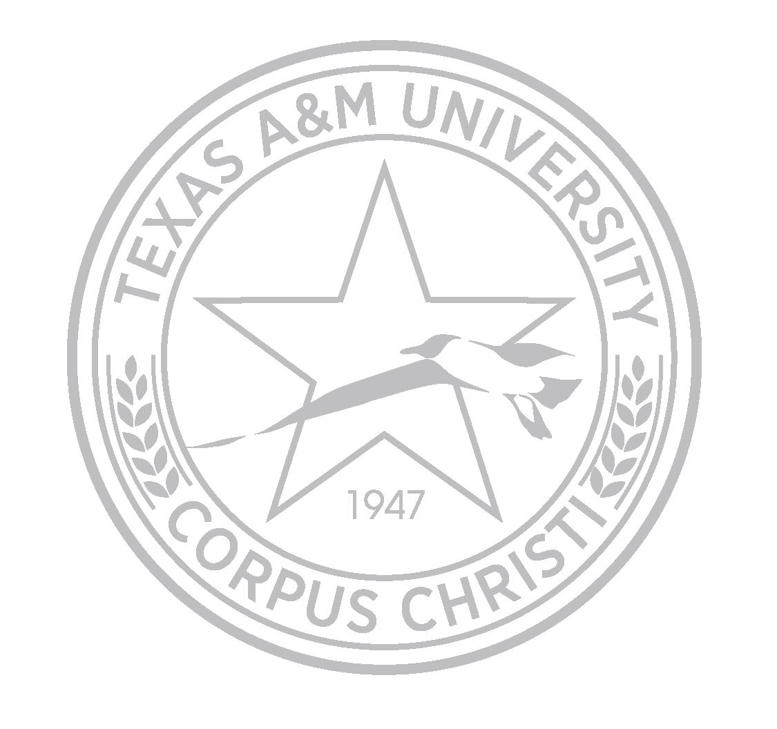 Texas A&M University-Corpus Christi Brand and Style Guide by Texas A&M ...