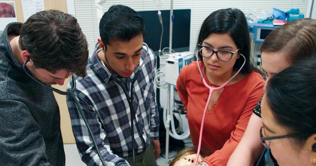 Northeastern University Bouvé College of Health Sciences Undergraduate ...