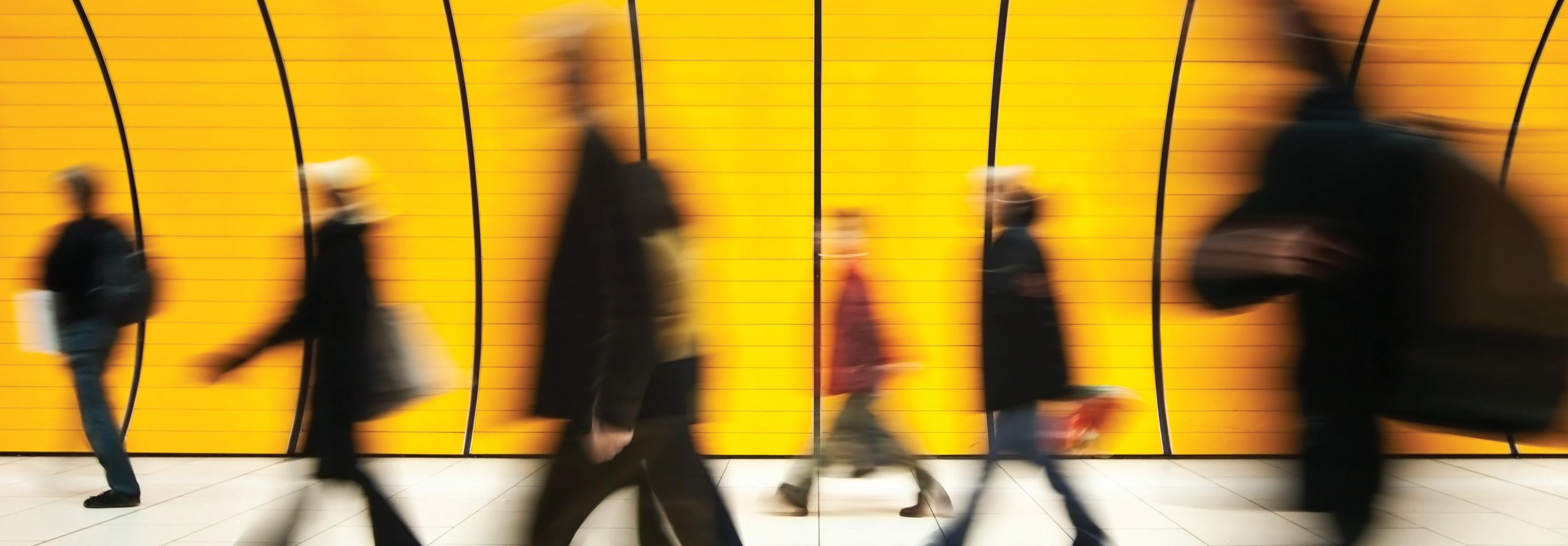 Northeastern University Bouvé College of Health Sciences Undergraduate ...